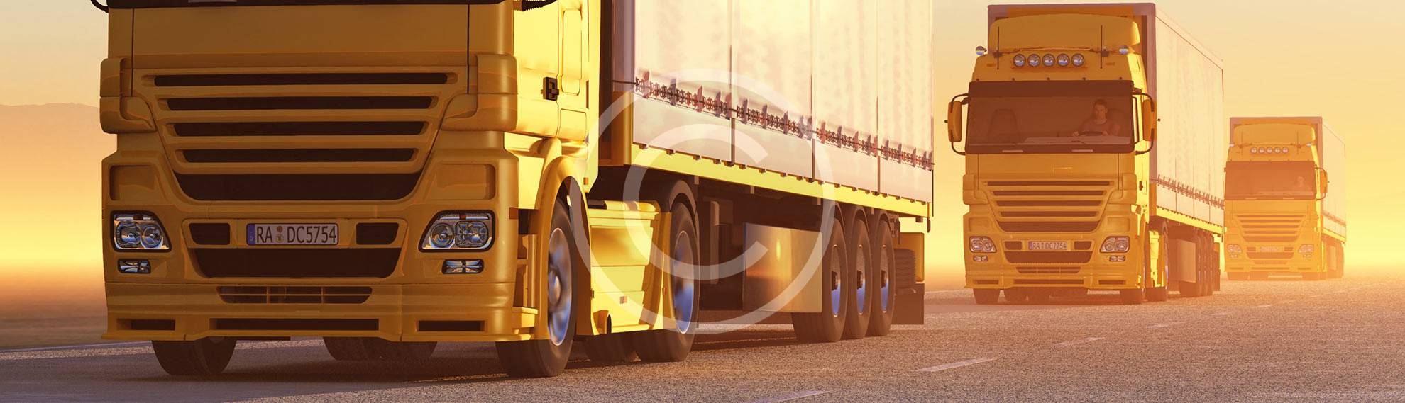 Company Timeline – Forin