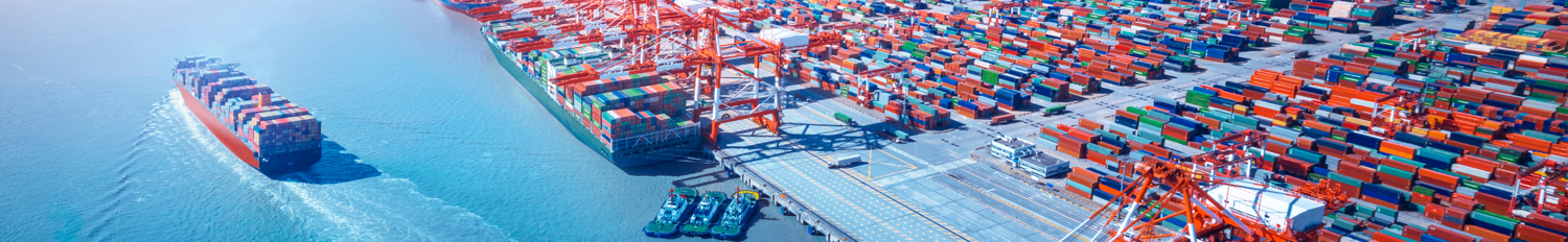 Our services – Forin